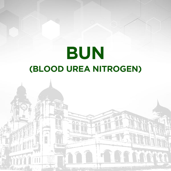 BUN (Blood Urea Nitrogen) Test – KMC Labs