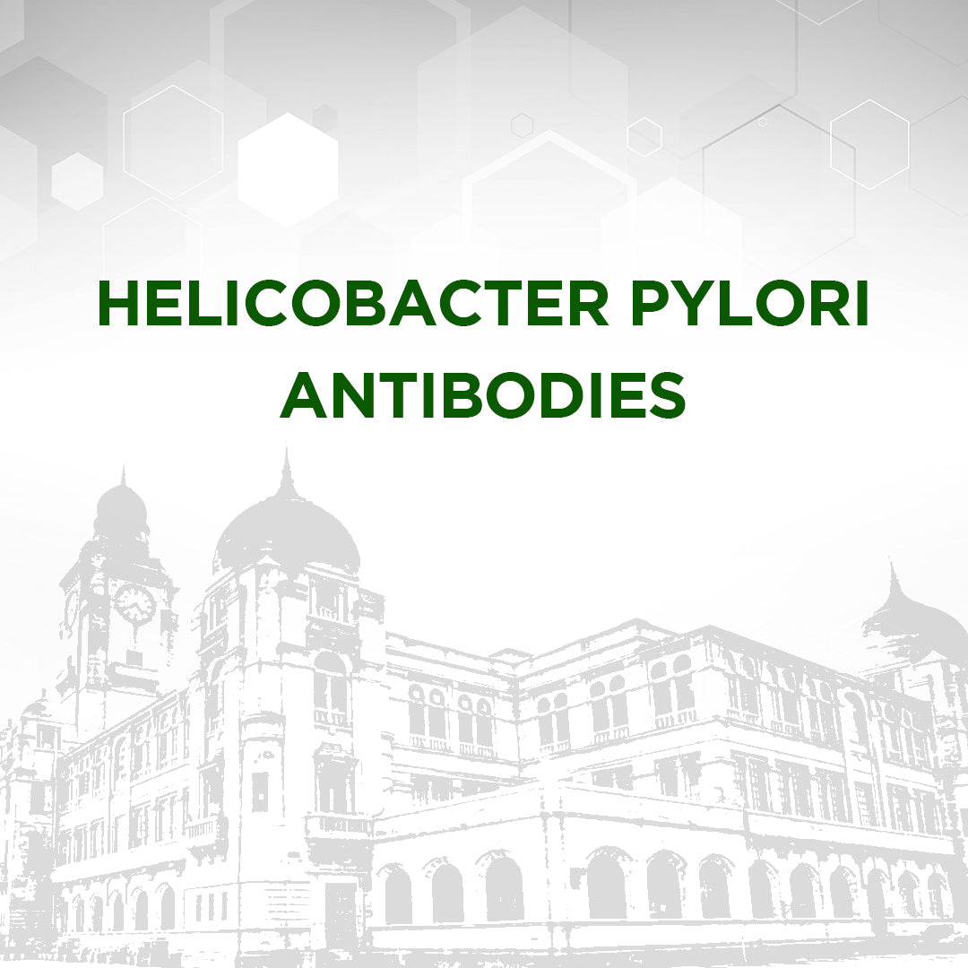 Helicobacter Pylori Antibodies Test – KMC Labs