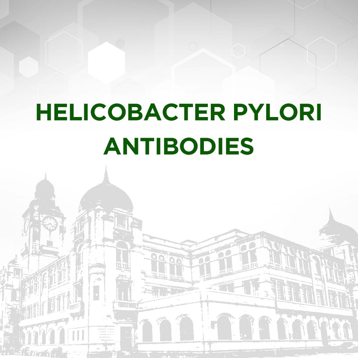 Helicobacter Pylori Antibodies Test – KMC Labs