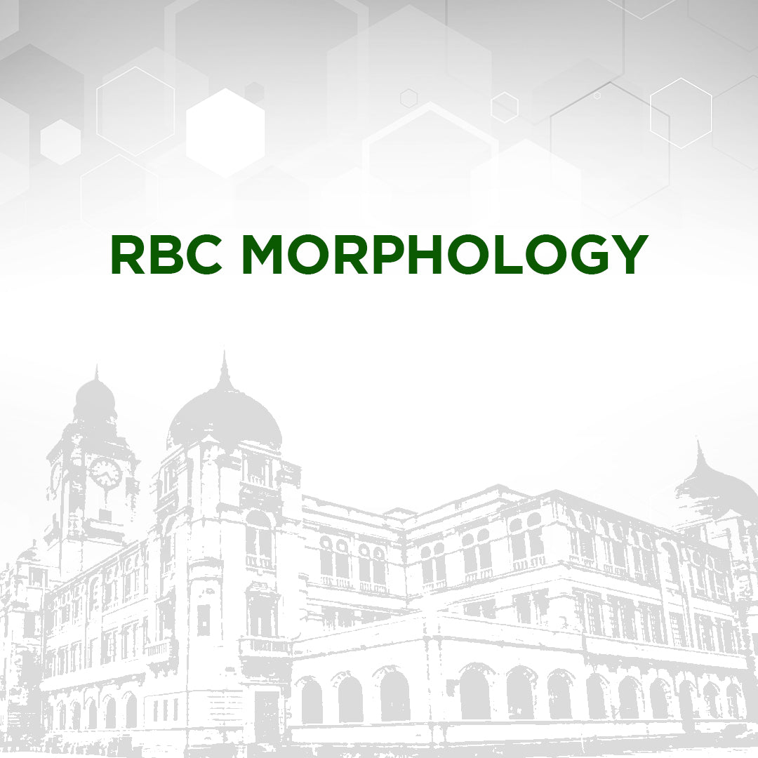 RBC Morphology Test – KMC Labs