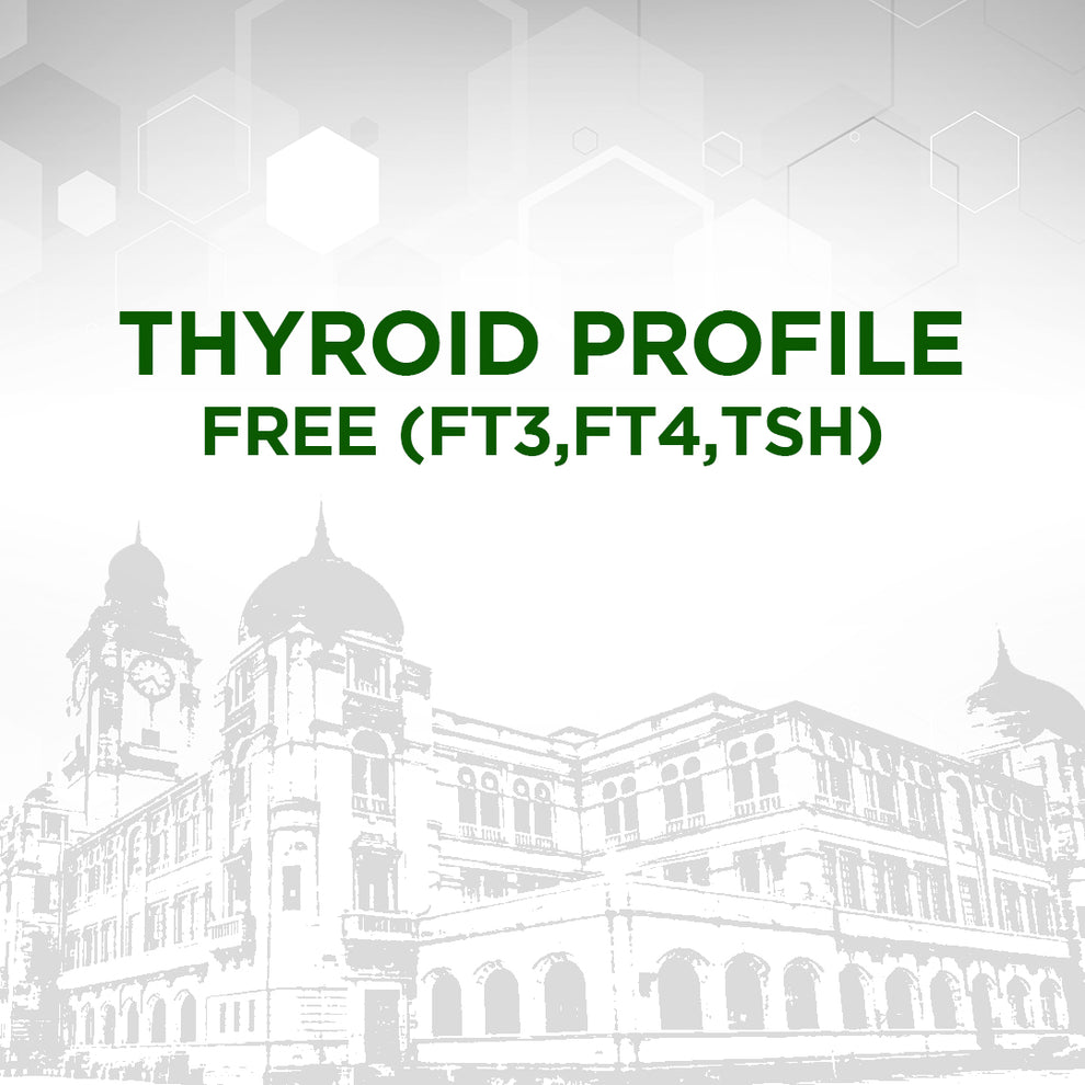 Thyroid Profile Free (FT3, FT4, TSH) Test – KMC Labs